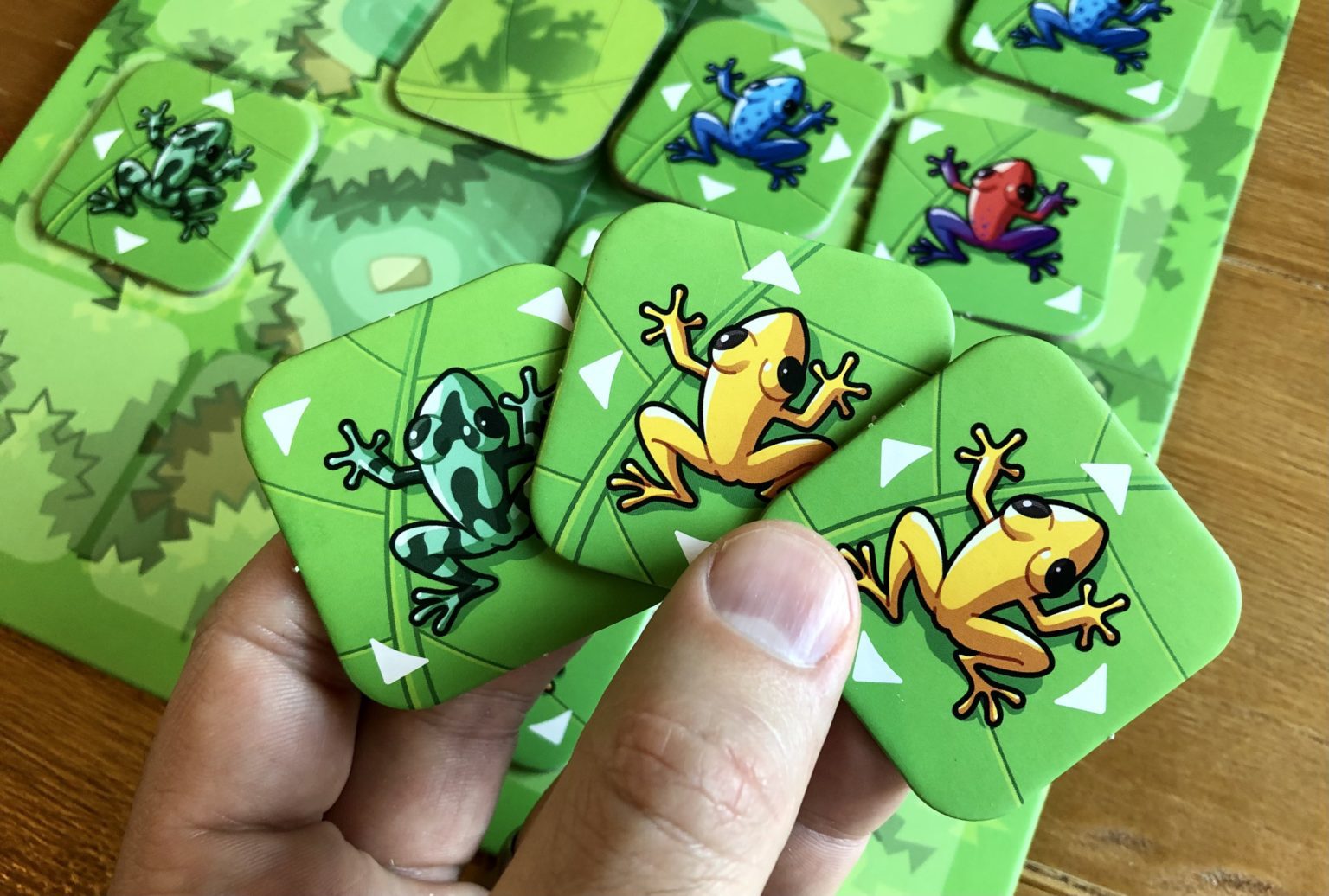 Flip Over Frog Gets Kids Hopping