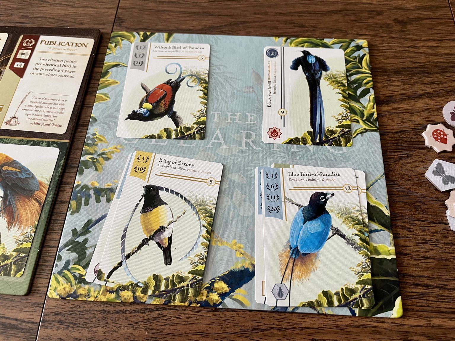 Birds Of A Feather Play This Game Together - Birdwatcher Review
