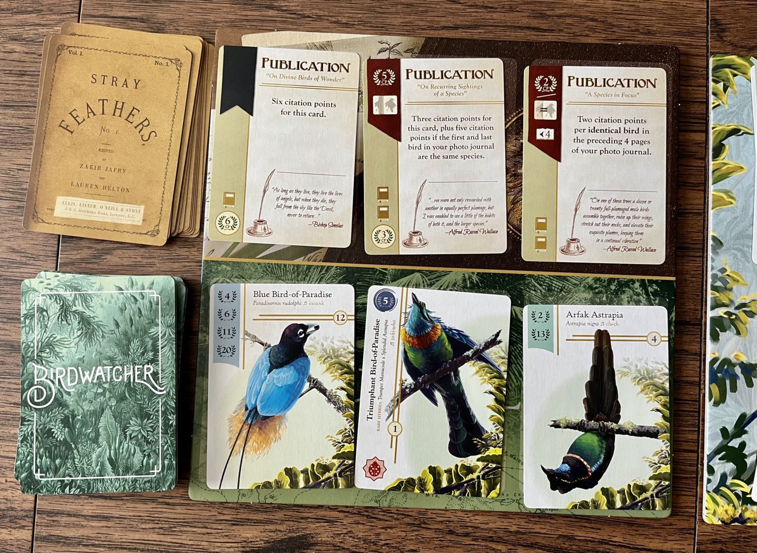Birds Of A Feather Play This Game Together - Birdwatcher Review