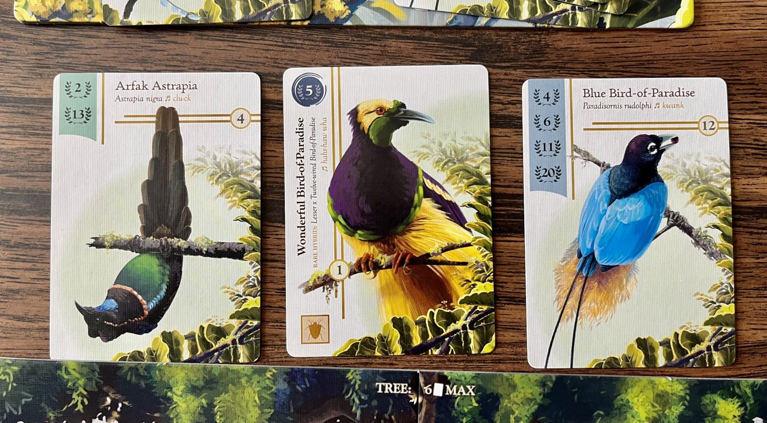 Birds Of A Feather Play This Game Together - Birdwatcher Review